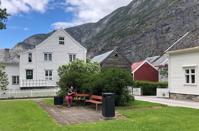 In Lærdal: Guided Old Town Tour - Key Points