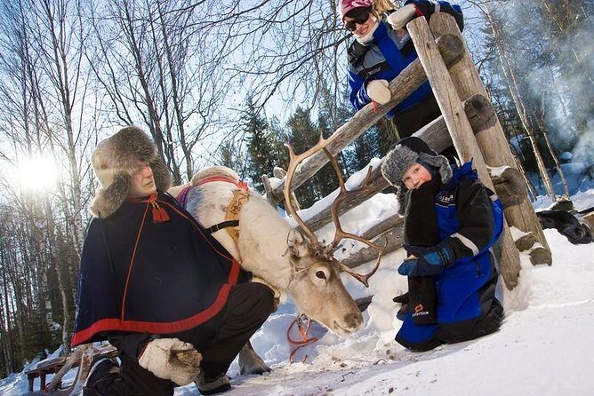 In Pursuit of Reindeer - Snowmobile safari to reindeer farm in Rovaniemi - Key Points