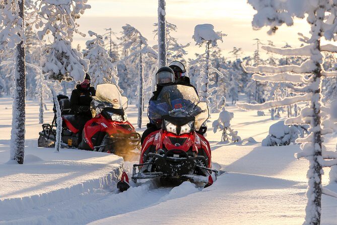 In Pursuit of Reindeer - Snowmobile safari to reindeer farm in Rovaniemi - The Reindeer Sleigh Ride and Cultural Touches