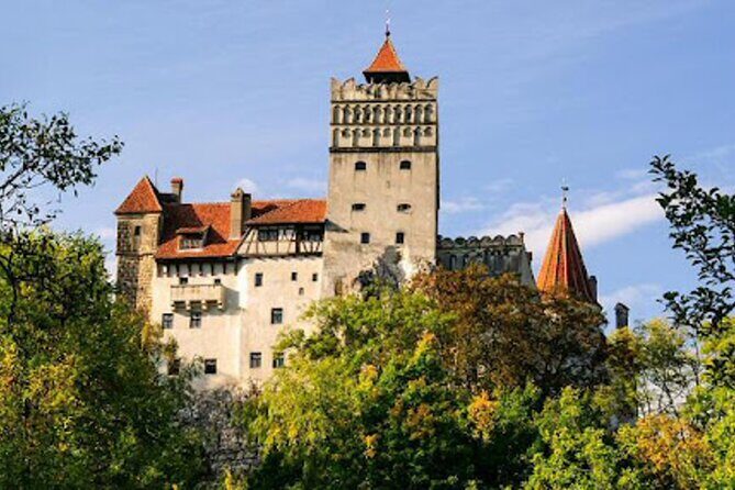 In Search of Dracula and the Teutons in Transylvania Full-Day Private Tour - Transportation and Logistics