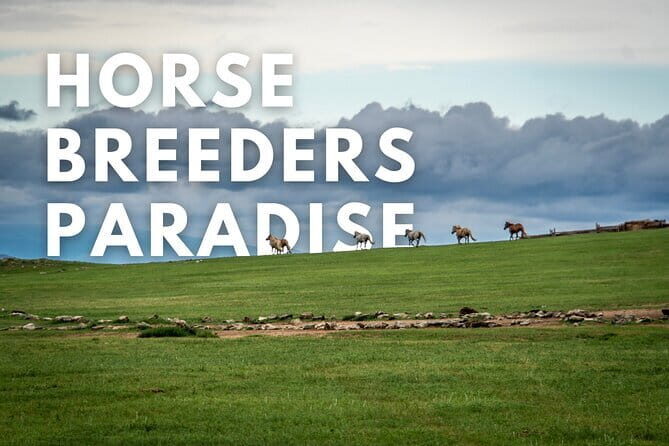 In Search of The Eagle Hunters - The Sum Up: Is This Tour Worth It?