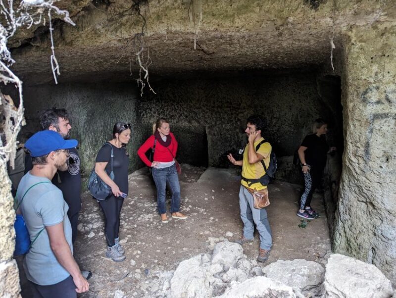 In the Footstep of the Etruscans: Hike & Wine Tasting - Real Experiences and Honest Feedback