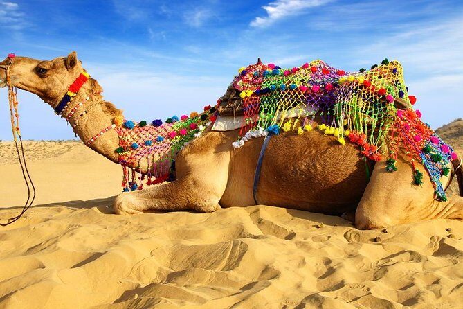Inactive - A Closer Look at the Pushkar Day Trip