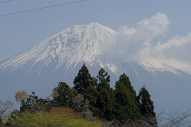 Inaka Excursions | Escape the Cities and find your peace!! - Who Will Love This Tour?