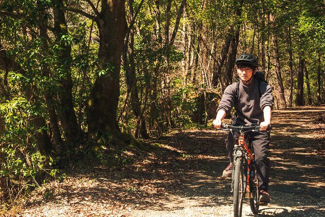 Inaka food and Ebike tour in Yuki - Introduction: An Authentic Slice of Japan’s Countryside