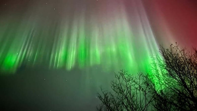 Inari/Ivalo: Aurora Hunting Tour by Car with Warm Drinks - The Sum Up