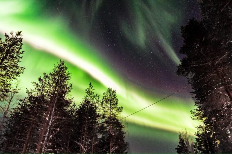 Inari: Northern Lights Hunt Snowmobile Safari - FAQ
