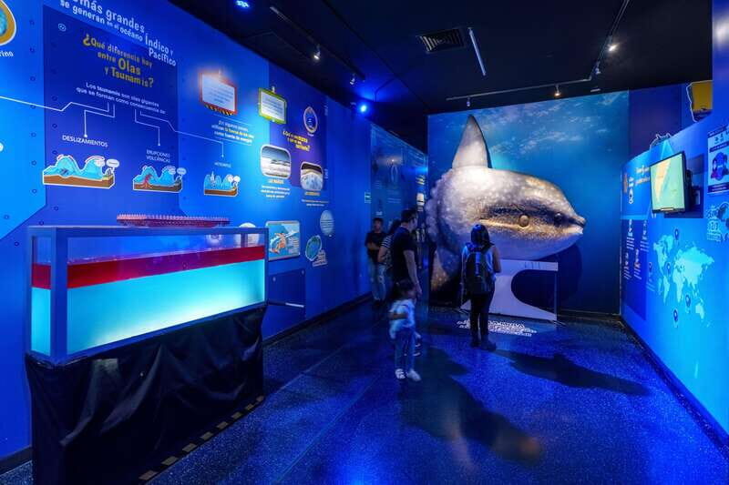 Inbursa Aquarium Entry Ticket with VR Option - Key Points