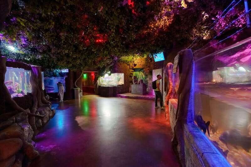 Inbursa Aquarium Entry Ticket with VR Option - An Overview of the Inbursa Aquarium Experience