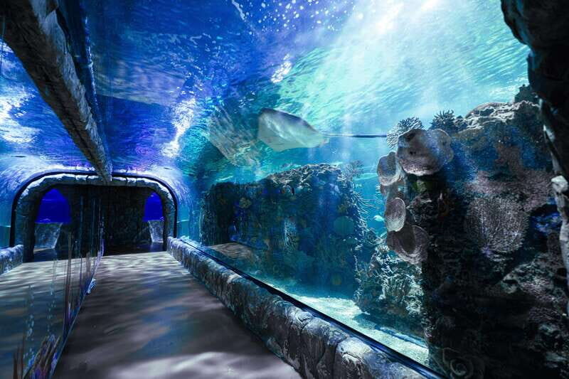 Inbursa Aquarium Entry Ticket with VR Option - What to Expect During Your Visit