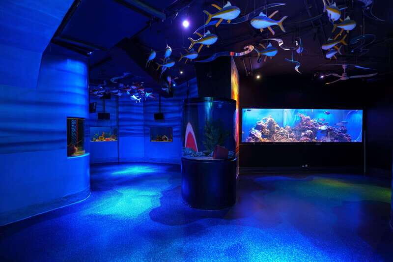 Inbursa Aquarium Entry Ticket with VR Option - Upgrading Your Experience: VR and Special Exhibitions