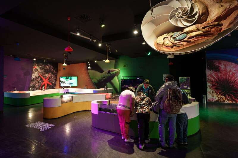 Inbursa Aquarium Entry Ticket with VR Option - Reviews and Visitor Perspectives