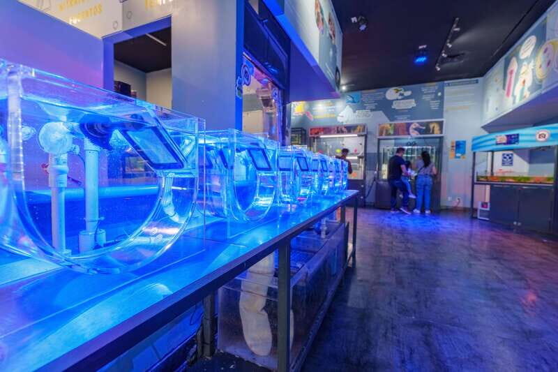 Inbursa Aquarium Entry Ticket with VR Option - Who Should Visit the Inbursa Aquarium?