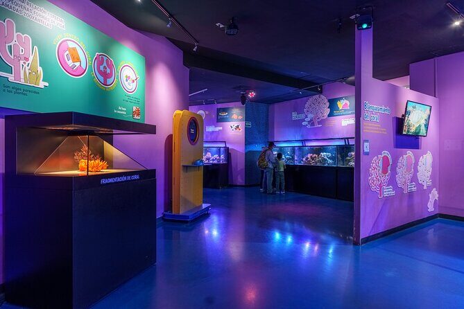 Inbursa Aquarium ticket - The Sum Up