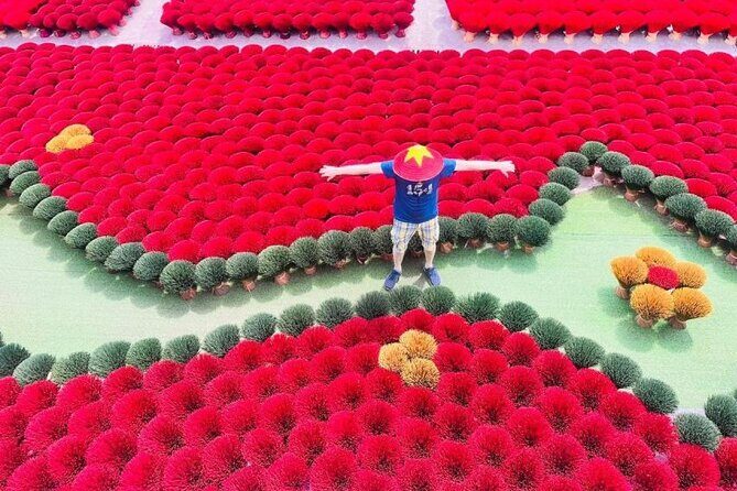 Incense Village Small Group Of 9 Tour to Ninh Binh From Hanoi - What Travelers Say