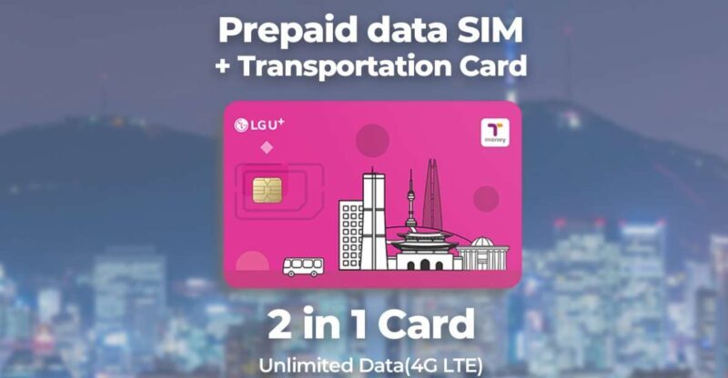 Incheon Airport: Traveler SIM & T-money Transportation Card - Key Points