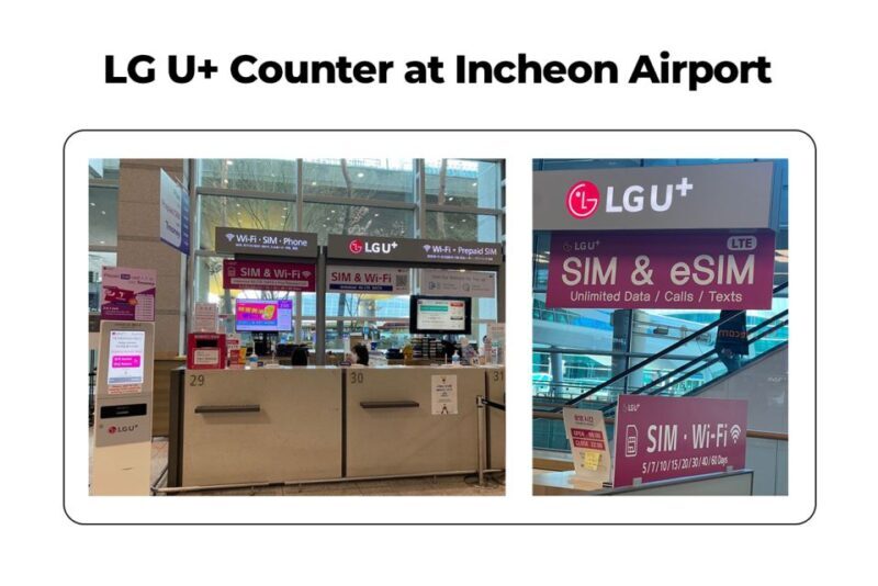 Incheon Airport: Traveler SIM & T-money Transportation Card - Who Would Benefit Most from This Experience?