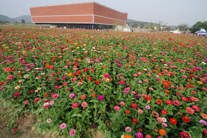 Incheon Full-Day Sunset and Sea Food Tour - Practical Tips for Travelers