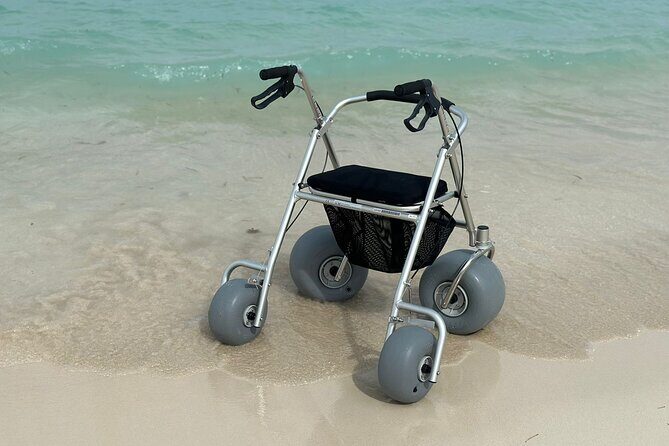 Inclusive Beach Fun Walker Rentals for All in Turks and Caicos - Final Thoughts: Who Should Consider This?