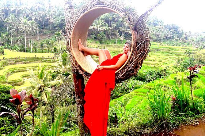 Incredible Day Trip to Ubud - Key Points