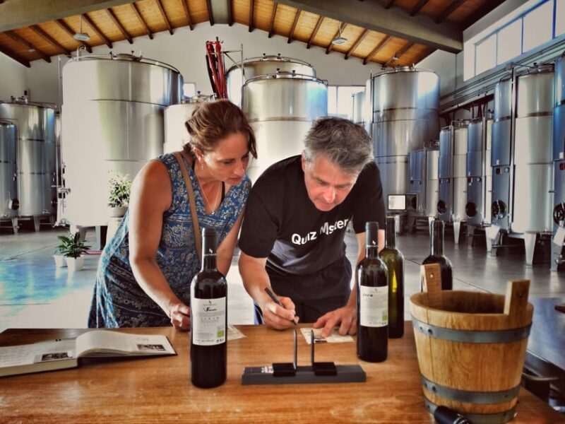 Incredible experience in a organic company - Authentic Sicilian Winemaking in a Delightful Organic Setting