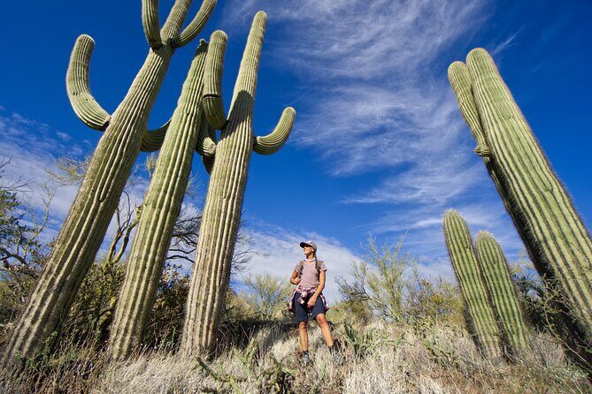 Incredible Hidden Valley Guided Hike in Phoenix, Arizona - Authentic Experiences Highlighted in Reviews