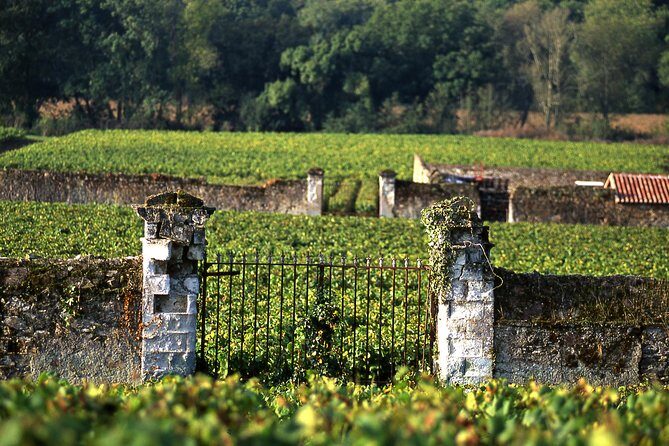 Incredible Loire castles tour with Wine tastings and Lunch - Frequently Asked Questions