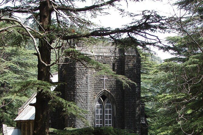 Incredible North India Tour - What Travelers Say: Authentic Voices