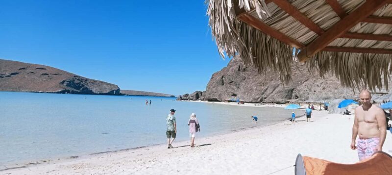 Incredible Private Tour to Balandra and Todos Santos - Why This Tour Works Well for You
