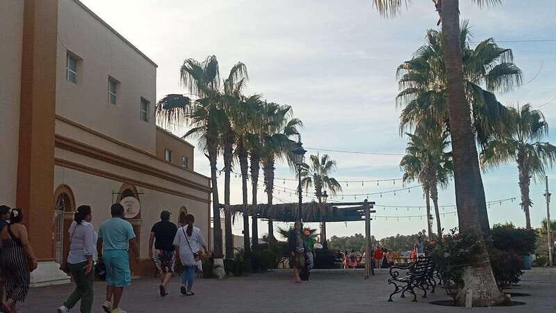 Incredible Private Tour to Todos Santos Magical Town - Exploring the Charm of Todos Santos