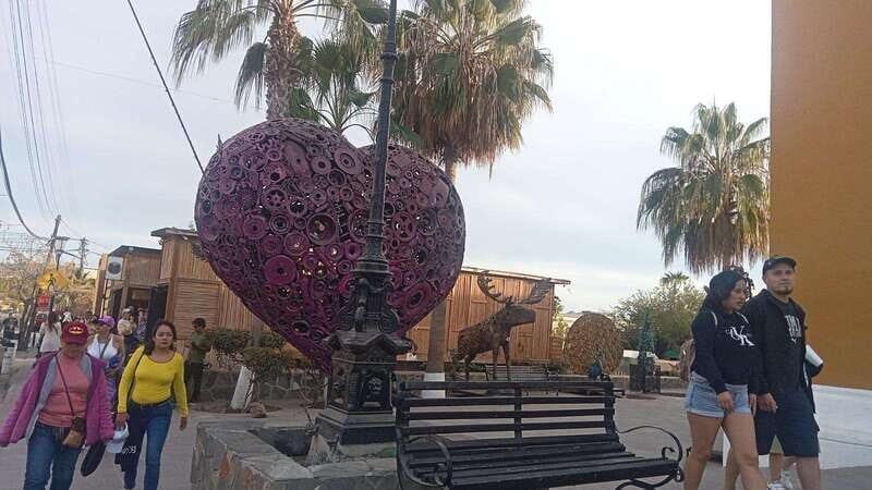 Incredible Private Tour to Todos Santos Magical Town - Price and Value Assessment