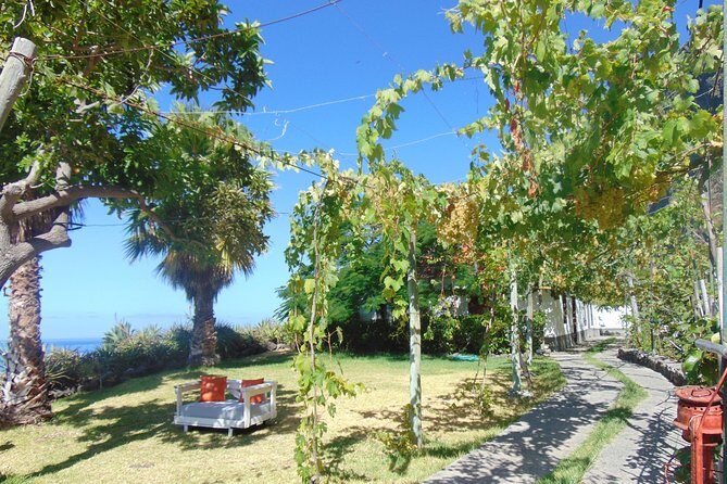 Incredible tour to a 'Faja' with a story - Who Will Enjoy This Tour?