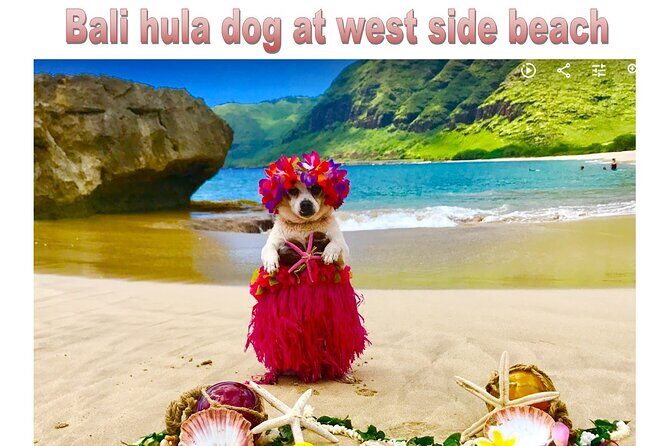 Incredible west side hidden gems -PLEASE CONTACT BEFORE BOOKING - Who Would Love This Tour?