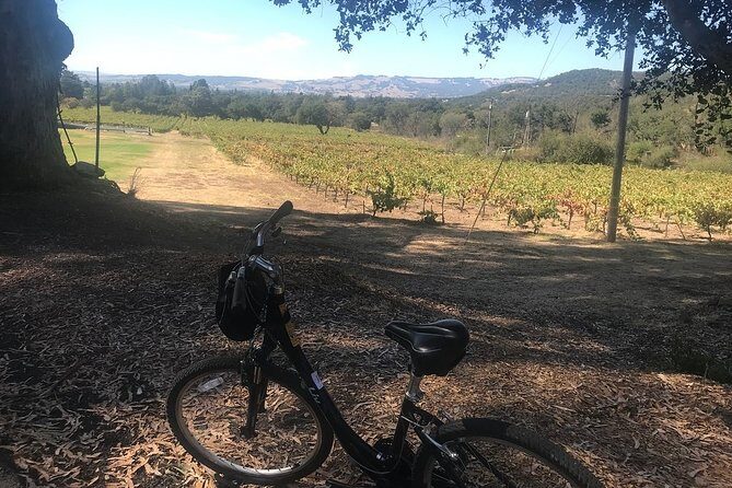 Independent Hassle-free Bike Rental in Sonoma - Practical Details & Logistics
