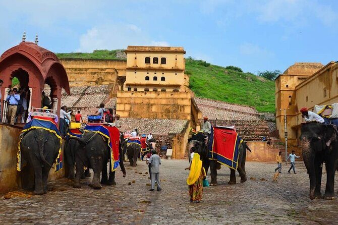 India Forts & Palaces With Tigers Rajasthan Tour - 17 Days - What to Expect from the 17-Day Rajasthan Tour