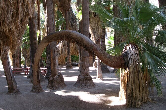 Indian Canyons Hiking Tour by Jeep from Palm Desert - Who Would Love This Tour?