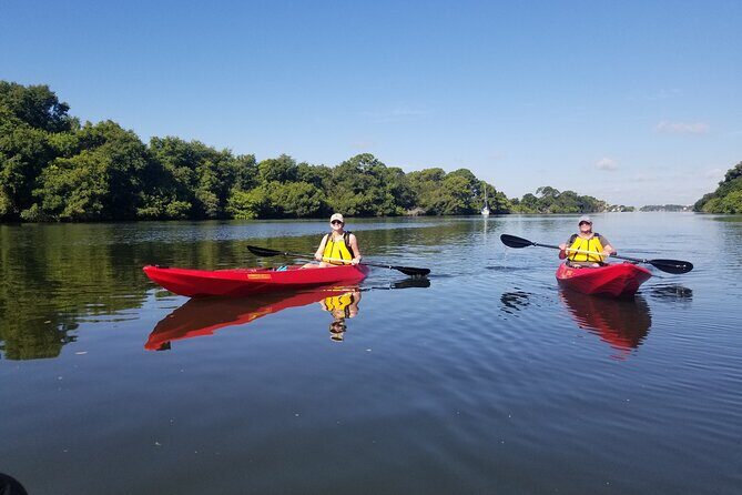 Indian River Clear Bottom Kayak or Paddleboarding Manatee and Dolphin Tour - FAQ