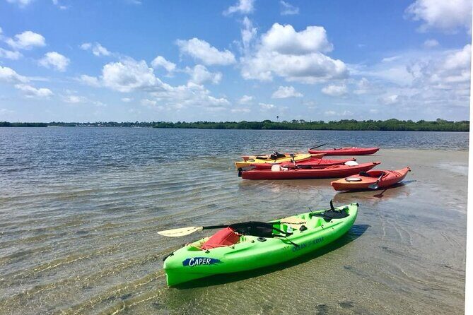 Indian River Lagoon Preserve Kayak Tour - Who Will Enjoy This Tour?