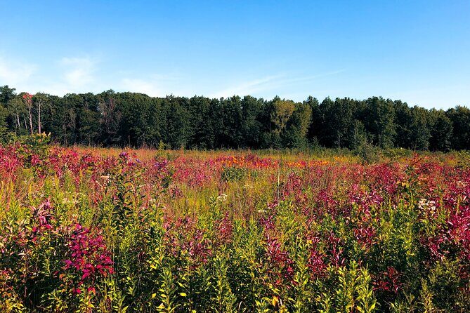 Indiana Dunes National Park Self-Guided Audio Tour - Who Should Consider This Tour?
