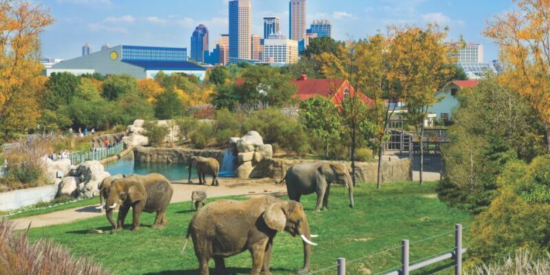 Indianapolis: 3-Day Indy Attraction Pass - The Sum Up