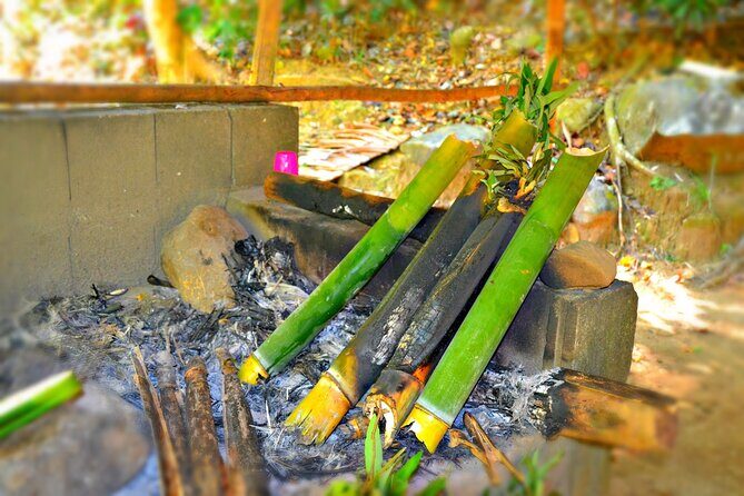 indigenous Forest experience Manila 2023 - A Closer Look at the Tour Itinerary