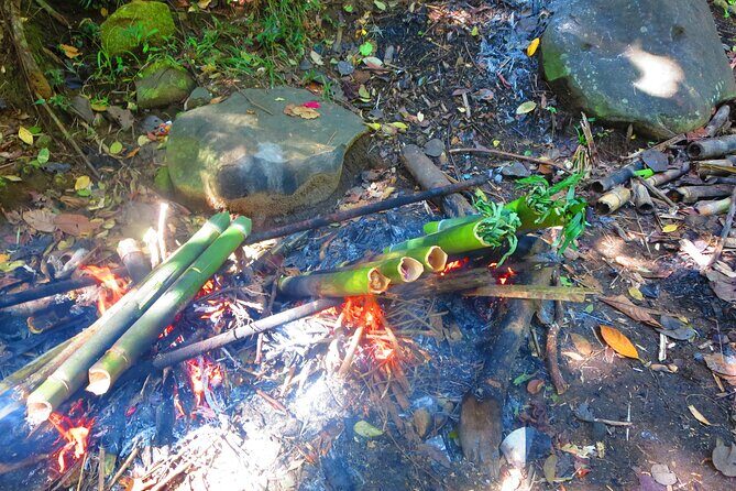 indigenous Forest experience Manila 2023 - Analyzing the Value for Money