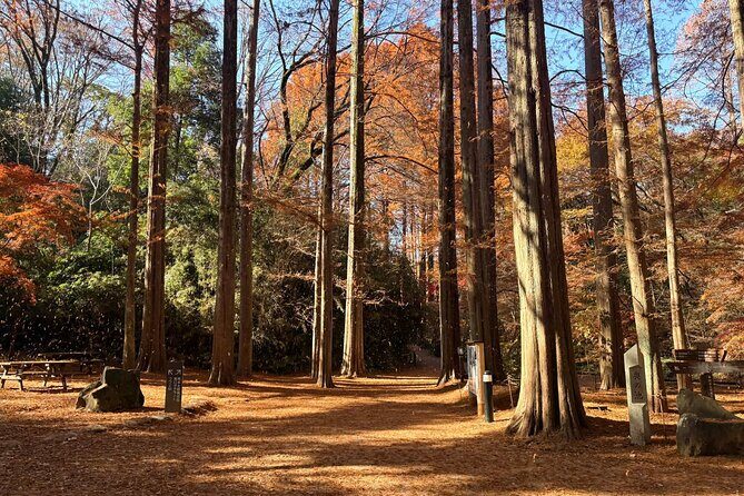 Indigo Dyeing Experience in Kawasaki - FAQs