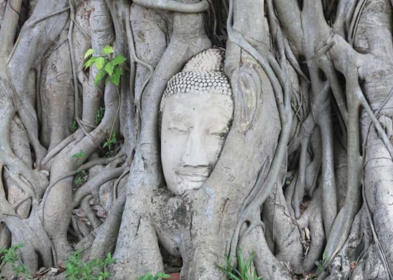 Individual 8 hours private trip - Bangkok/Ayutthaya - Exploring the Best of Ayutthaya in a Private 8-Hour Trip