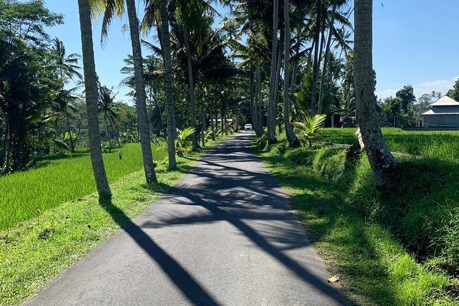 Individual Bali Day Trip with Private Driver and Free WiFi - Authentic Experiences and Practical Insights
