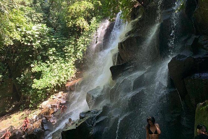 Individual Bali Day Trip with Private Driver and Free WiFi - Who Will Love This Tour?