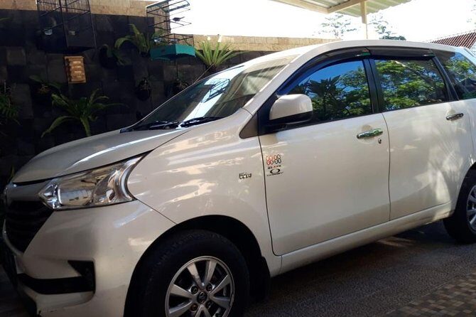 Individual Bali Day Trip with Private Driver and Free WiFi - Final Thoughts