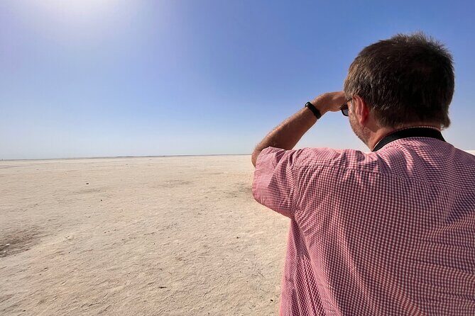 Individual Gujarat tour 2024-2025 (nature and palaces) - A Closer Look at the Gujarat Experience