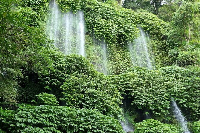 Indonesian Food Cooking Class of Gili Air - Potential Drawbacks