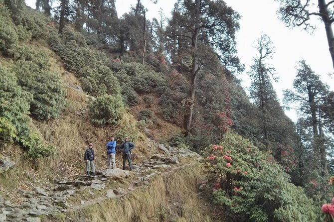 Indrahar Pass Trek with Manu Adventures India - Authentic Reviews and What They Tell Us